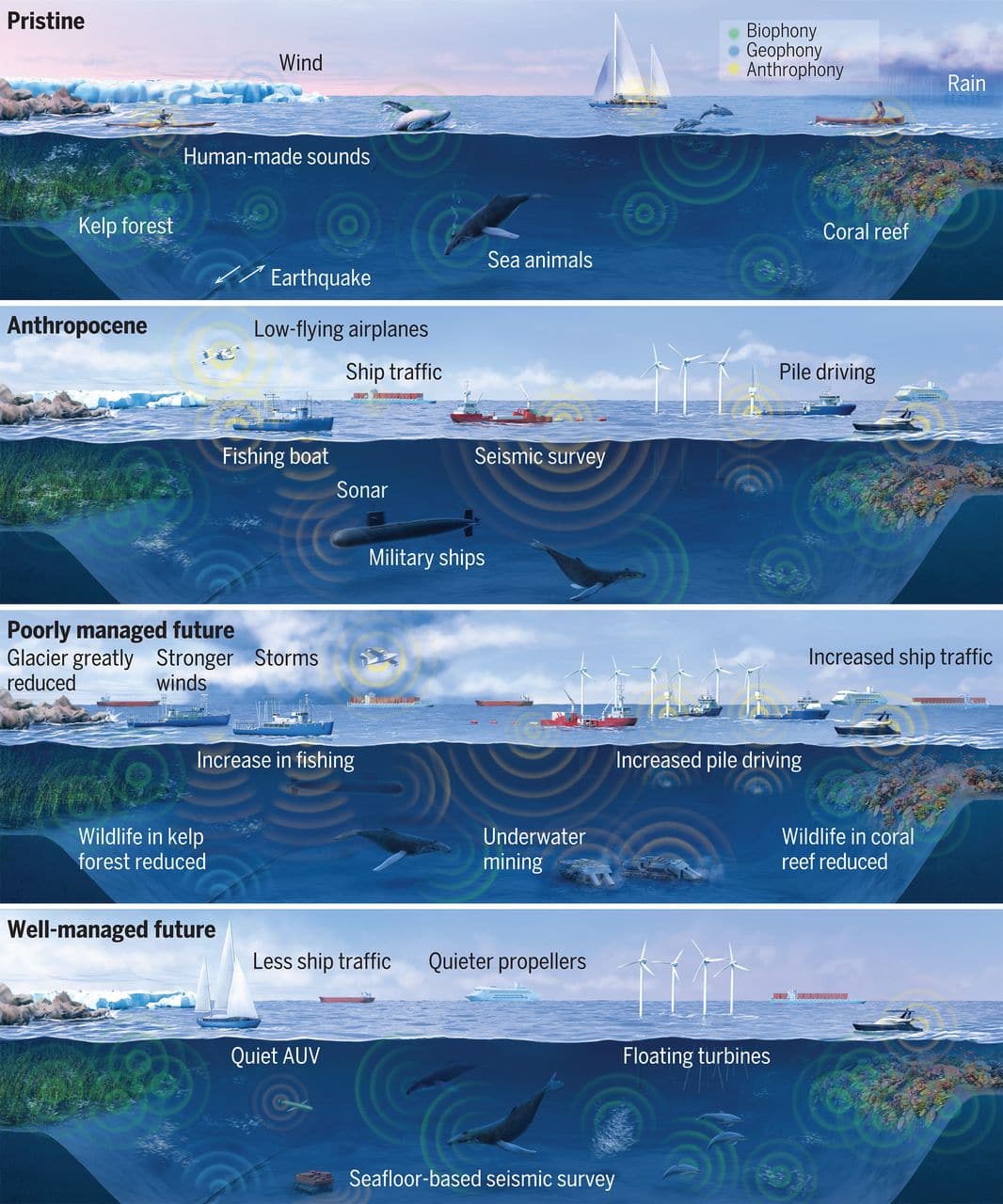 How man-made noise is disturbing the Oceans’s symphony