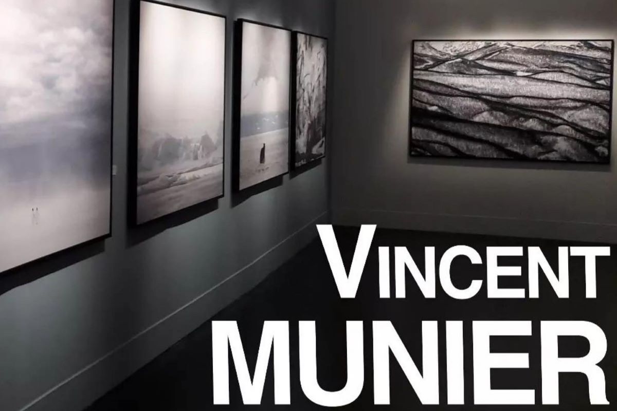 Voyage dans l'immensité avec l'exposition « Les 3 Pôles » de Vincent Munier