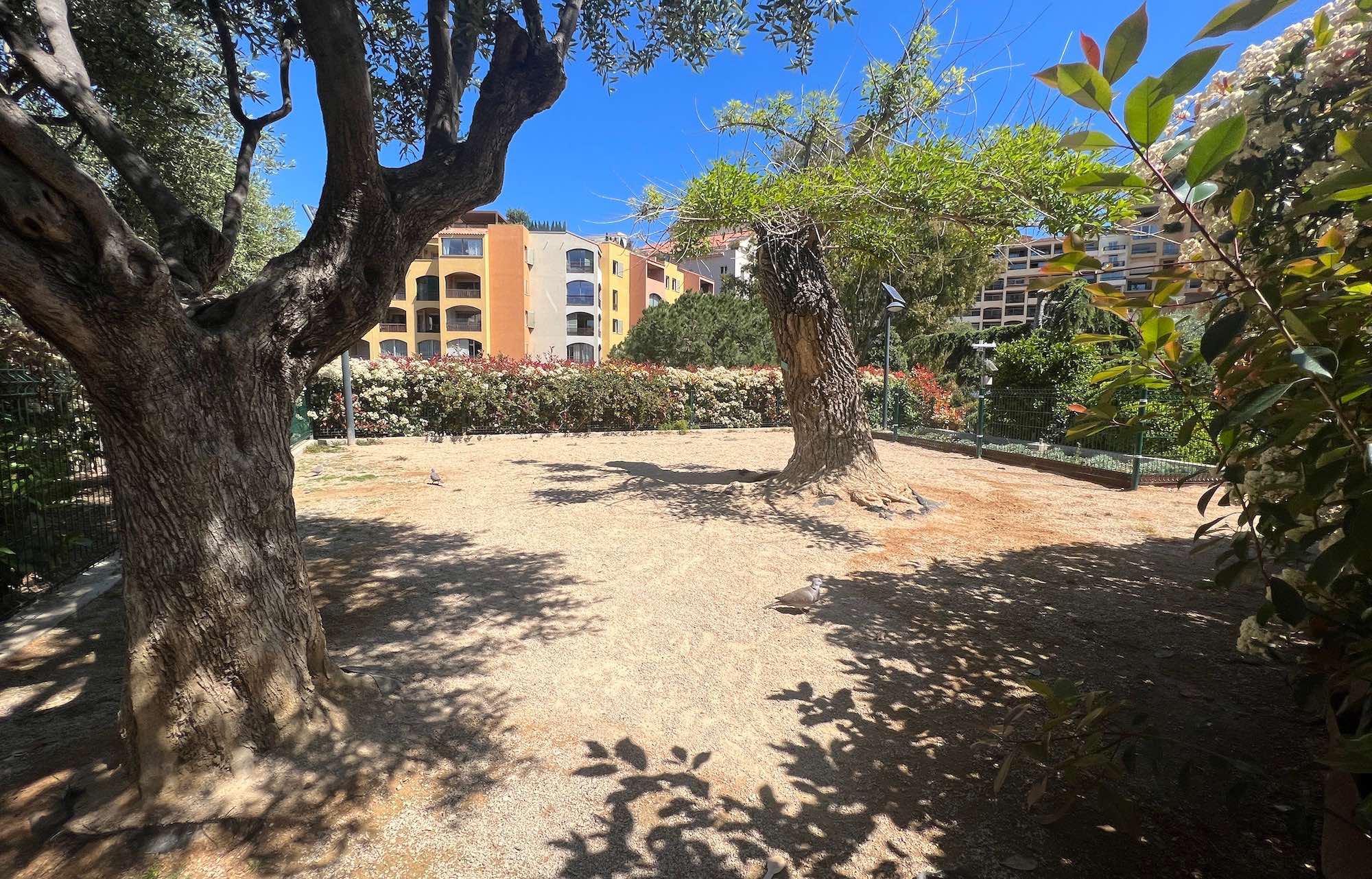 Where to walk your dog in and around Monaco