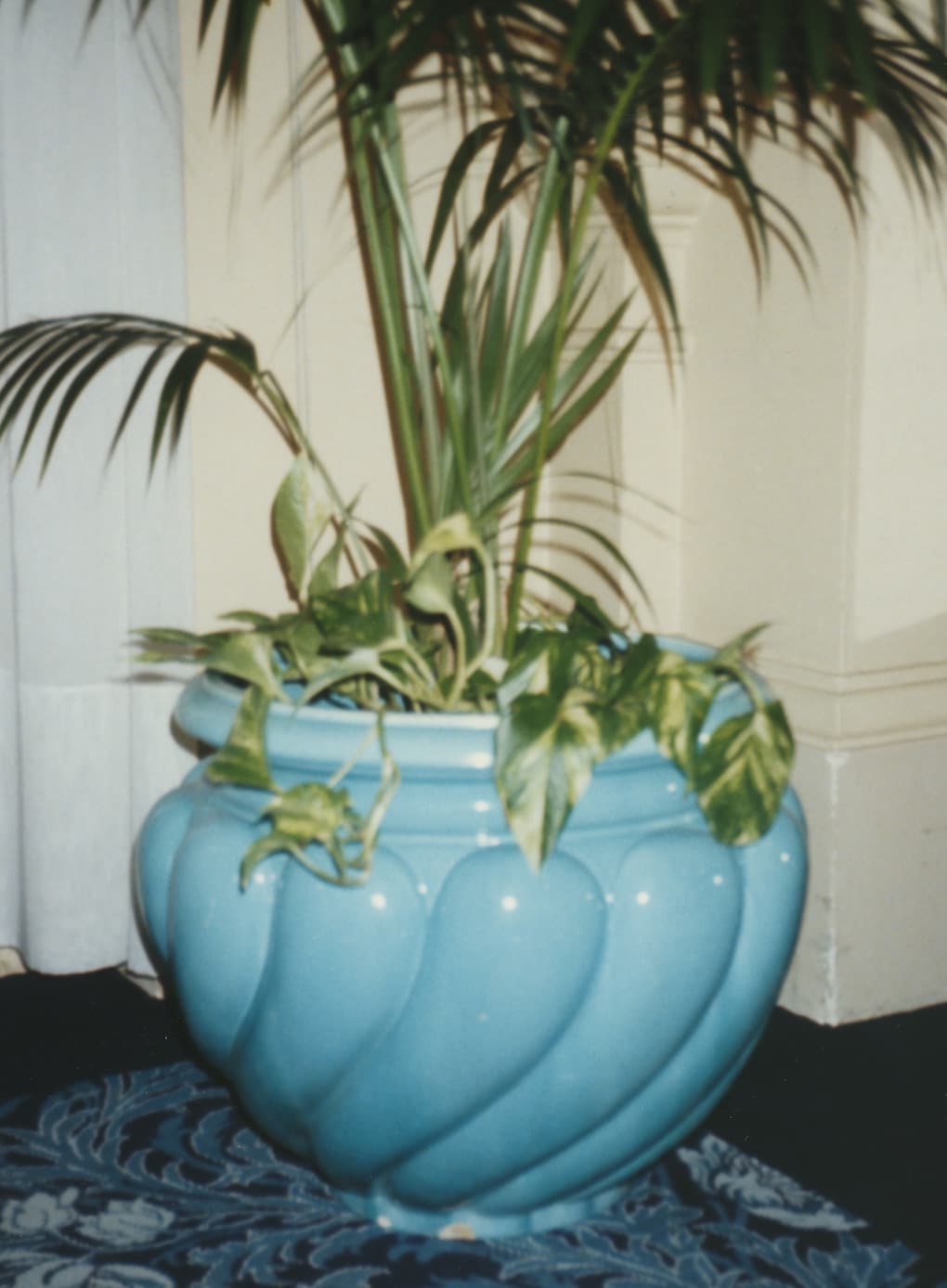 Les poteries de Monaco : un héritage à nul autre pareil