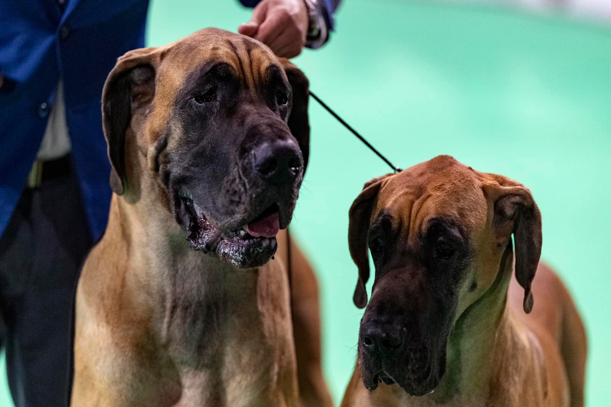 Prince Albert II and Princess Charlene attend 2024 Monaco International ...