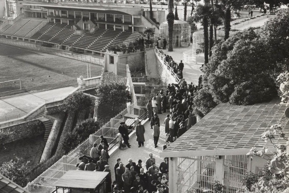 Le Jardin Animalier Rainier III célèbre ses 70 ans