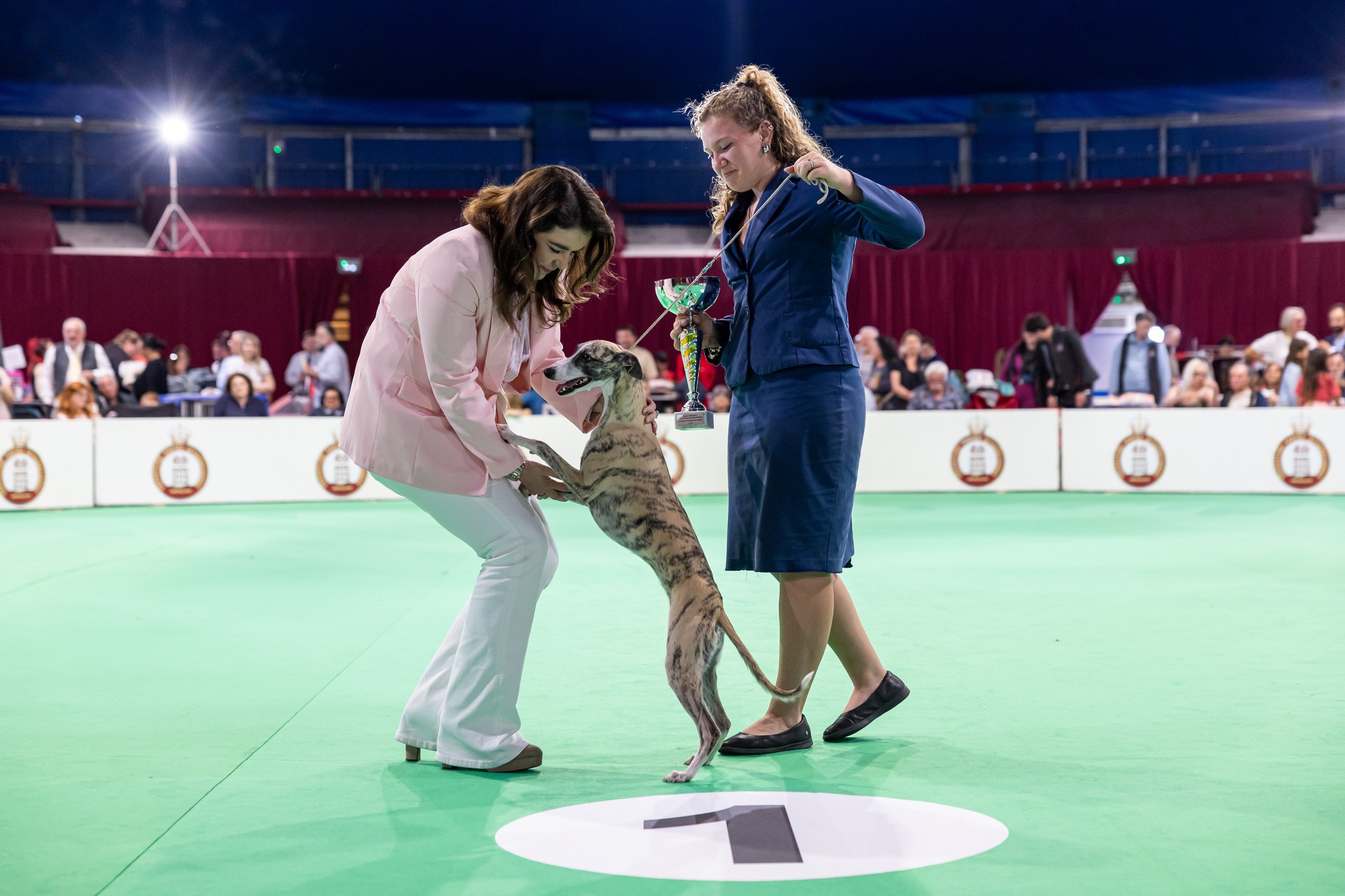 Prince Albert II and Princess Caroline crown Basenji Simba at 2025 ...