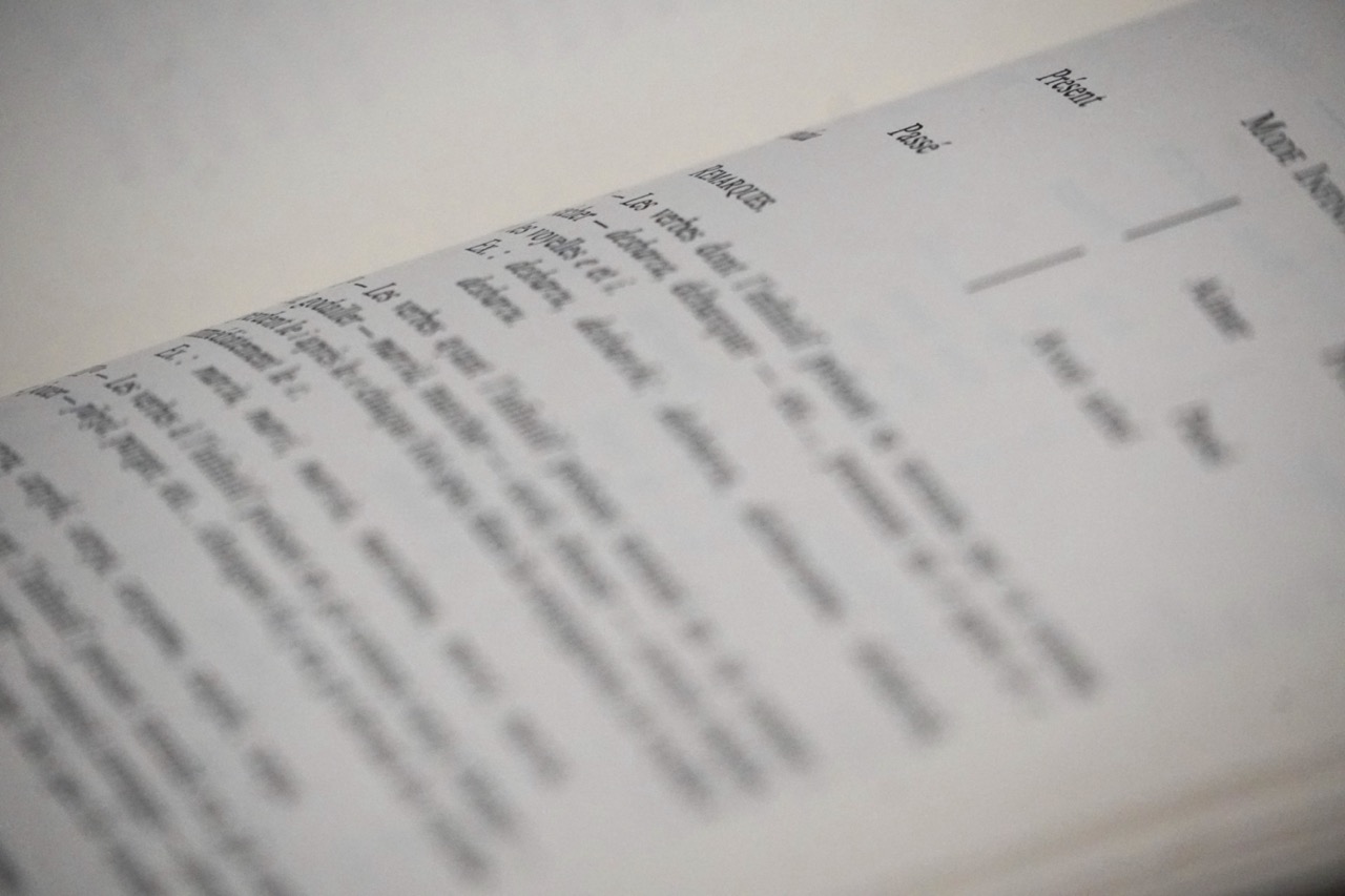 Learn Monegasque: a practical guide to studying the Principality's language